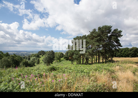 The National Trust's Clent Hills near Hagley, Worcestershire, England ...
