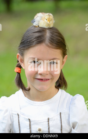 Girl with a chicken chick on her head Stock Photo - Alamy