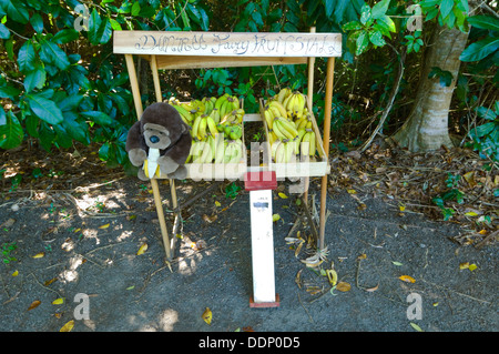 Honesty Fruit Stall, Far North Queensland, FNQ, QLD, Australia Stock ...