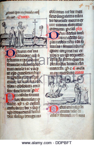 Illuminated manuscript image from a Medieval bestiary of the Stock ...