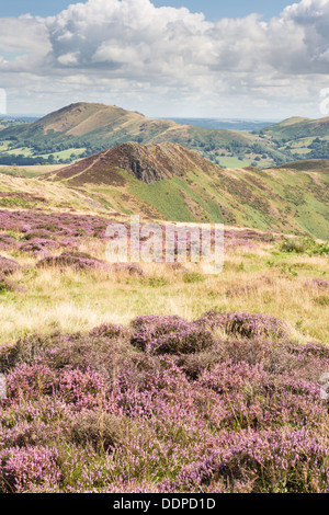 Looking across the Stretton Hills from the Long Mynd and the distant ...