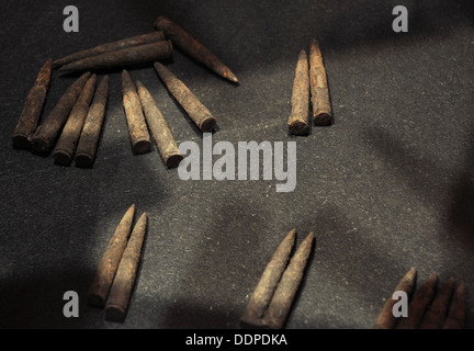 History. World War II. Latvia. Objects found in the field of Battle ...