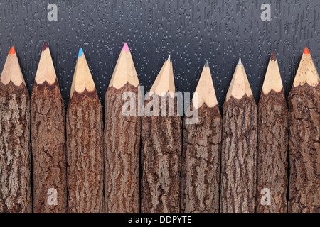 Tree trunk pencils Stock Photo - Alamy
