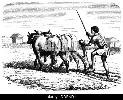 agriculture, agricultural work, plowing, Roman farmer with a wooden ...