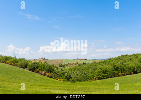 Rolling hills in Tuscany on a sunny day with dramatic clouds Stock ...