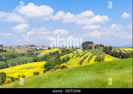 Tuscany at spring Stock Photo - Alamy