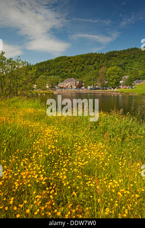 Callander from the Meadows Stock Photo - Alamy