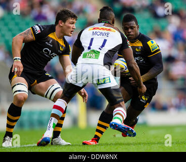 Christian Wade, Wasps Stock Photo - Alamy