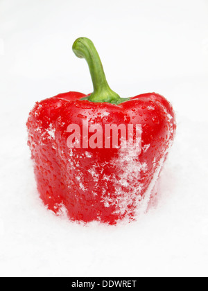 Pepper on snow Stock Photo - Alamy