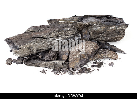 Oil shale stone, background. Sedimentary rocks rich in kerogen. The ...