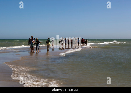 Tourist at Grenen, the very top of Denmark Stock Photo - Alamy