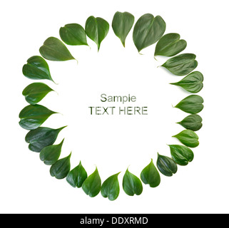 heart of beautiful green leaves, isolated on white Stock Photo - Alamy