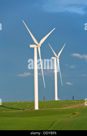 Little Raith Wind Farm Mossmorran Fife Scotland Stock Photo - Alamy