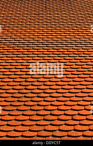 detail of red beavertail shingles at the roof of an old house as ...
