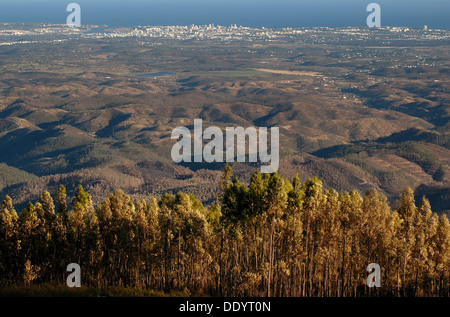 Portugal, the Algarve, Monchique, the view from Foia Stock Photo - Alamy