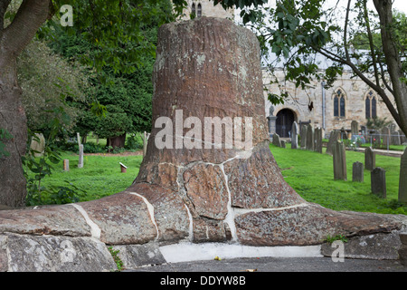 Fossil Tree Stump of the Sigillarai species of Tree in the Village of ...