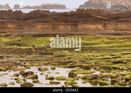 Yeliou National Park in Taiwan, China, Asia Stock Photo - Alamy