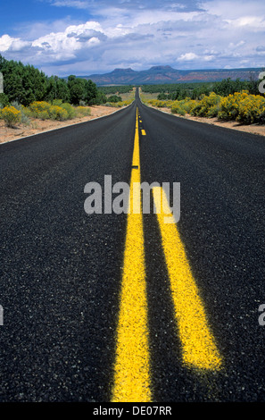 Yellow striped road markings on black asphalt highway. No parking is ...