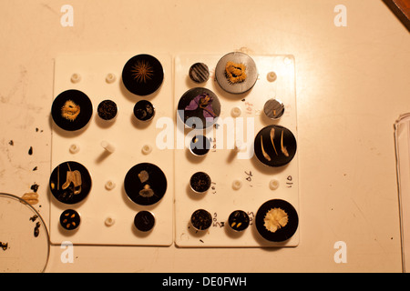 Seed specimens being prepared for an electron microscope Stock Photo ...