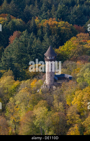A low angle shot of high tree with yellow foliage Stock Photo - Alamy