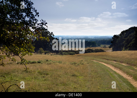 Breckland landscape suffolk Stock Photo - Alamy
