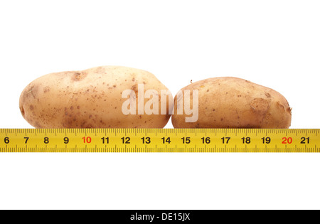 potatoes and a ruler on a white background Stock Photo - Alamy