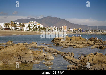 La Duquesa beach Manilva Malaga Andalusia Spain Stock Photo - Alamy