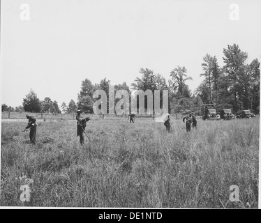 African American Civilian (CCC) Conservation Corps, ca. 1935. The CCC ...