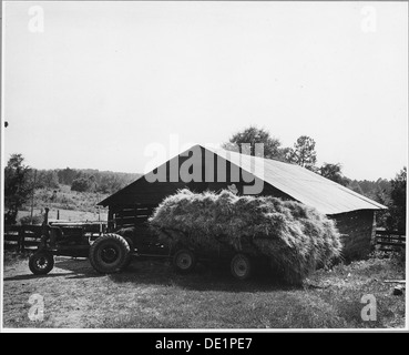 The Harmony Community farm in Putnam County, Georgia, is run by a ...