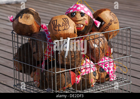 Coconut pirate heads Stock Photo - Alamy