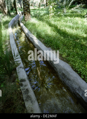 United Arab Emirates - Irrigation system at the Al Ain Oasis, the Stock ...