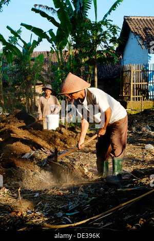 Digging the hard way - manual labour in quarry, Goa, India Stock Photo ...
