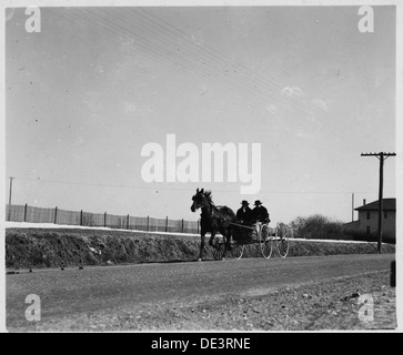 An Amish family ride a horse-drawn buggy on a modern road near ...