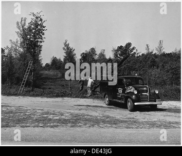POWER LINES AT RURAL ELECTRIC ADMINISTRATION POWER PLANT Stock Photo ...