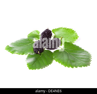 Pile of mulberry isolated on white plate Stock Photo - Alamy