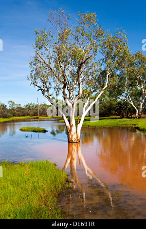Flooded Australian outback after heavy rain near Wilcannia, NSW Stock ...