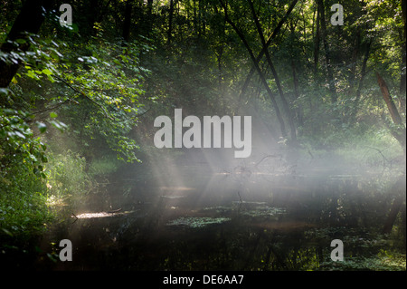 Rhumspringe, Germany, mist over the Rhumequelle Stock Photo - Alamy