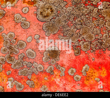 Rust and paint spots Stock Photo - Alamy