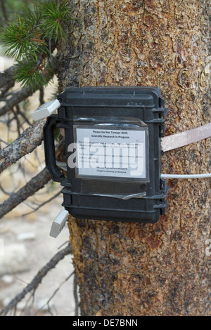 National parks service trail counter on a trail in Tuolumne Meadows ...