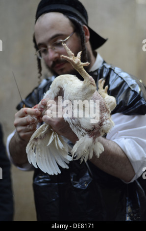 Kosher Chicken slaughter by a Shohet of the ultra religious Neturei ...