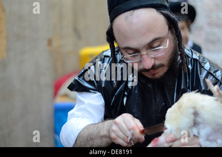 Kosher Chicken slaughter by a Shohet of the ultra religious Neturei ...