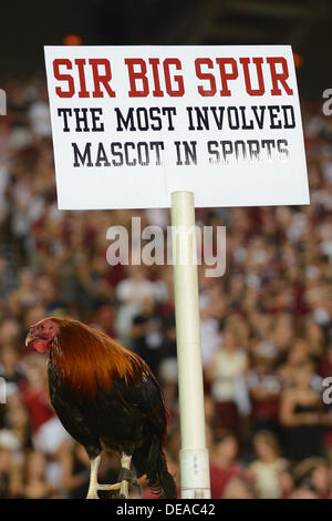 South Carolina live mascot Sir Big Spur is viewed on the sideline ...