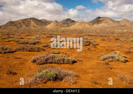 A red soil in the desert mountain Stock Photo - Alamy