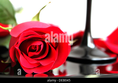 Aroma red rose and glass of good wine Stock Photo - Alamy