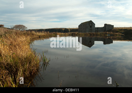 Ham Mill over the millpond. Also called the Ham Girnal. From the old ...