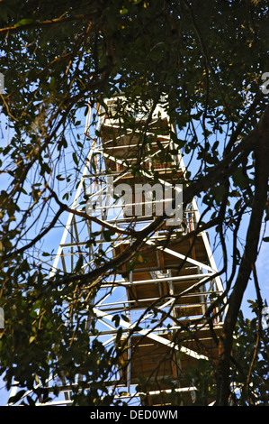 Fire tower in the Osceola National Forest in North Central Florida ...