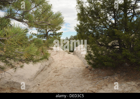 Wagon wheel ruts at the National Historic Oregon Trail Interpretive ...