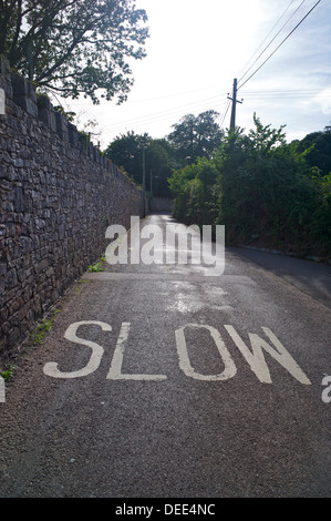 Narrow country road with slow sign, road signage and precautions on ...
