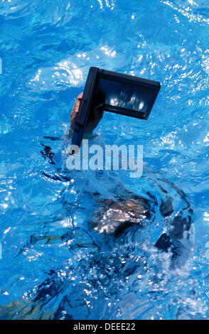 saving a drowning man Stock Photo: 72098939 - Alamy