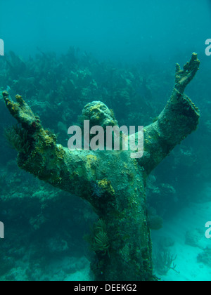 Christ of the Abyss statue in Key Largo, Florida Stock Photo - Alamy